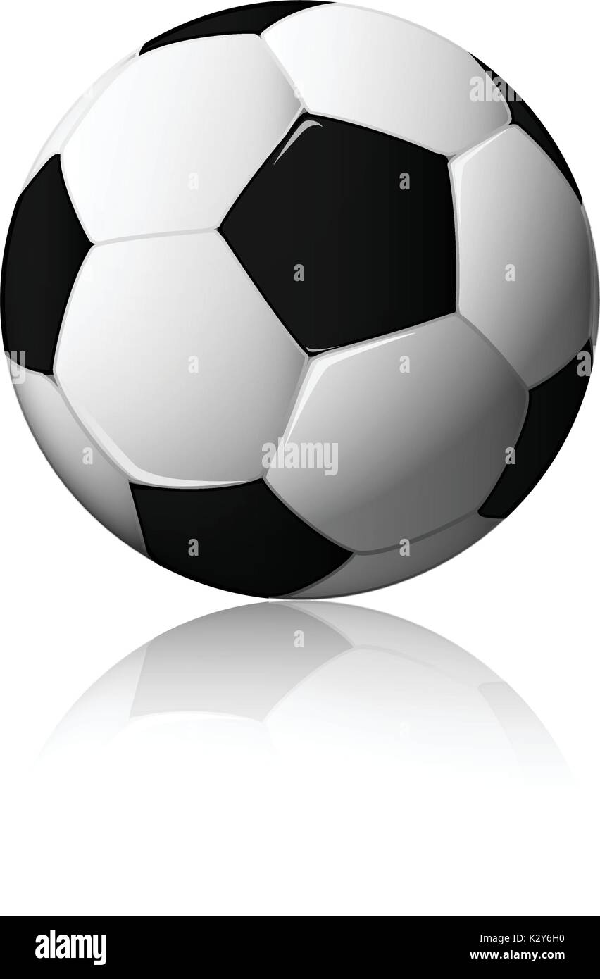 Football Isolated on white background , soccer ball reflection , sport ...
