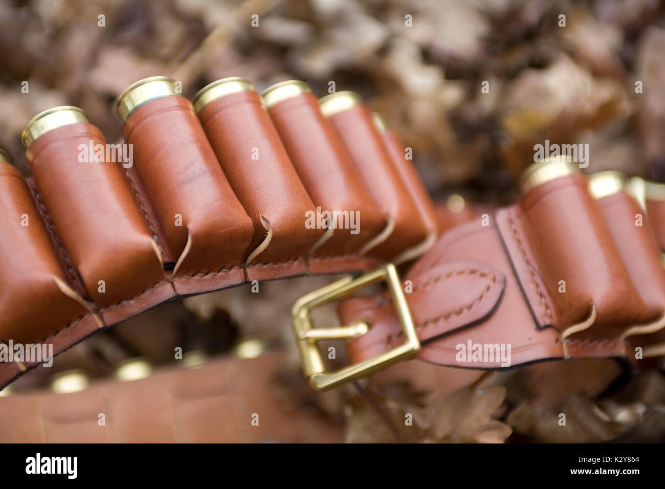 Cartridge belt loaded Stock Photo - Alamy
