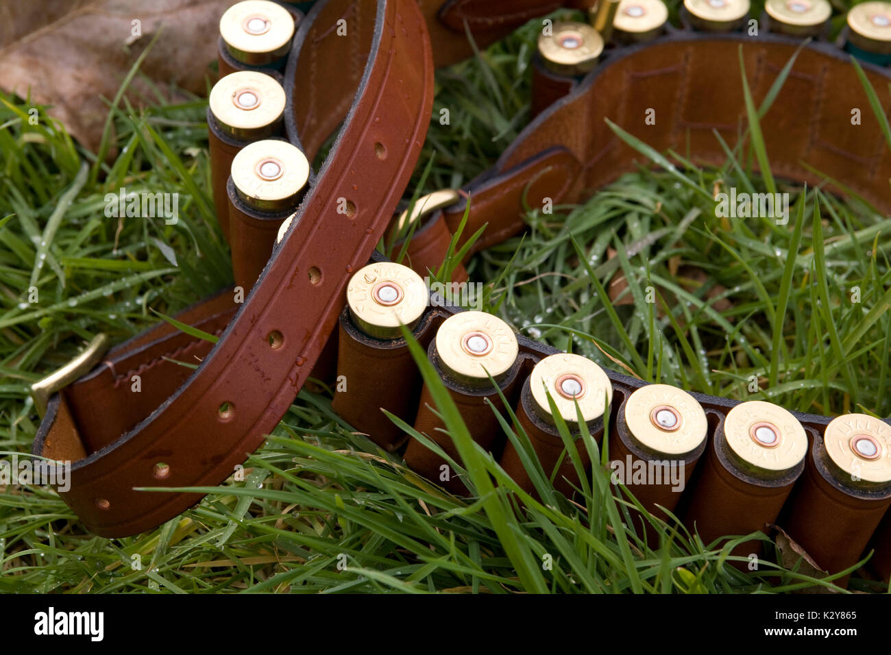 Cartridge belt hi-res stock photography and images - Alamy