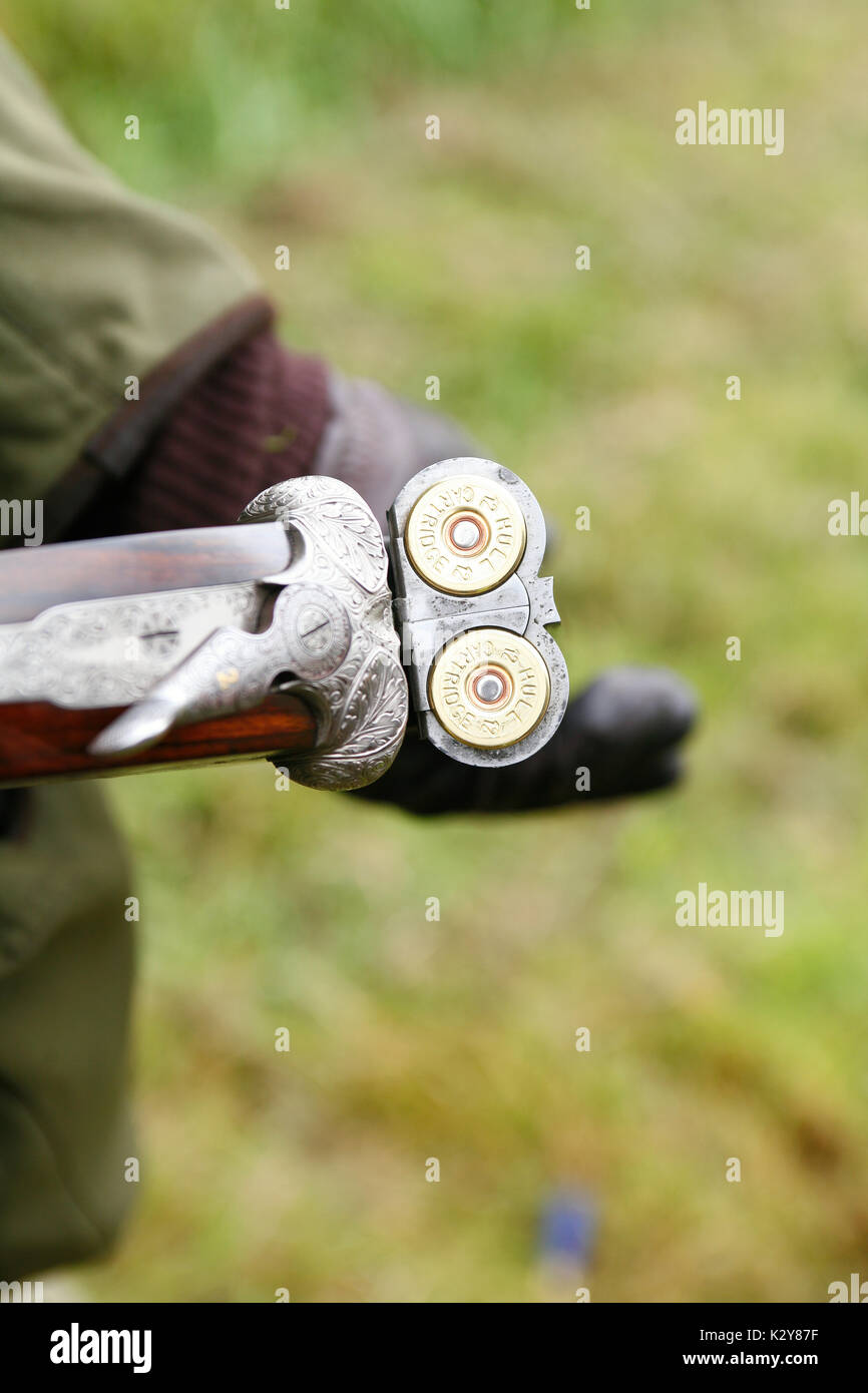 Gauntlett shoot, Gun Barrels, 12 Bore Cartridges English shotgun Stock ...