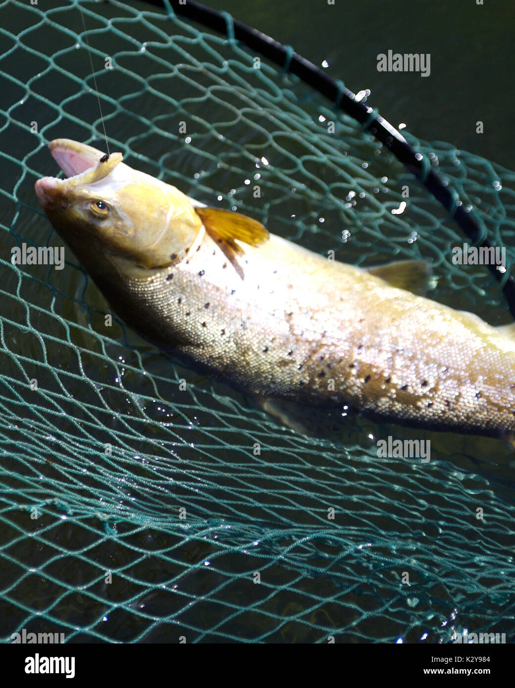 Chalk stream rivers hi-res stock photography and images - Alamy