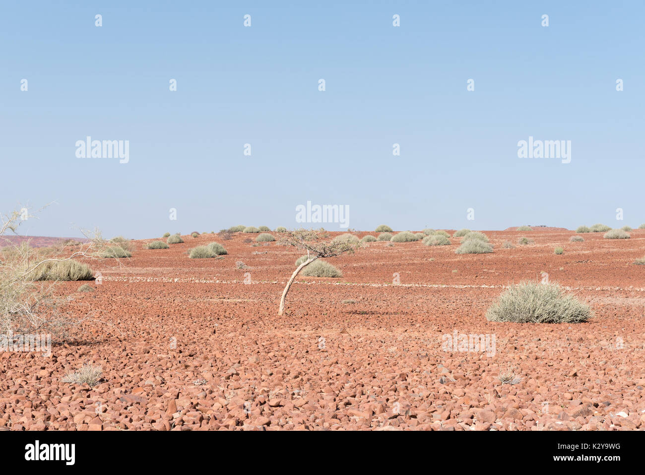 The red, rocky Namib desert landscape next to the C39-road, between ...