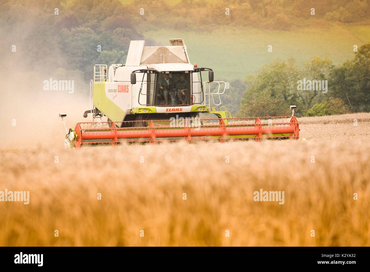 Midford Valley High Resolution Stock Photography and Images - Alamy