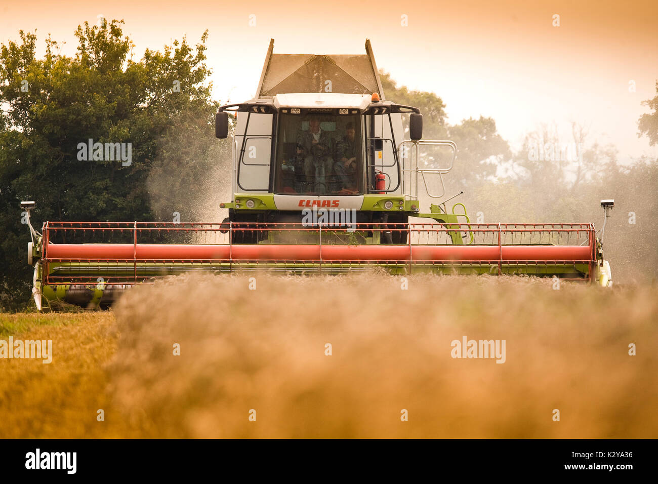 Combine Harvester, Midford Valley, Somerset Stock Photo - Alamy