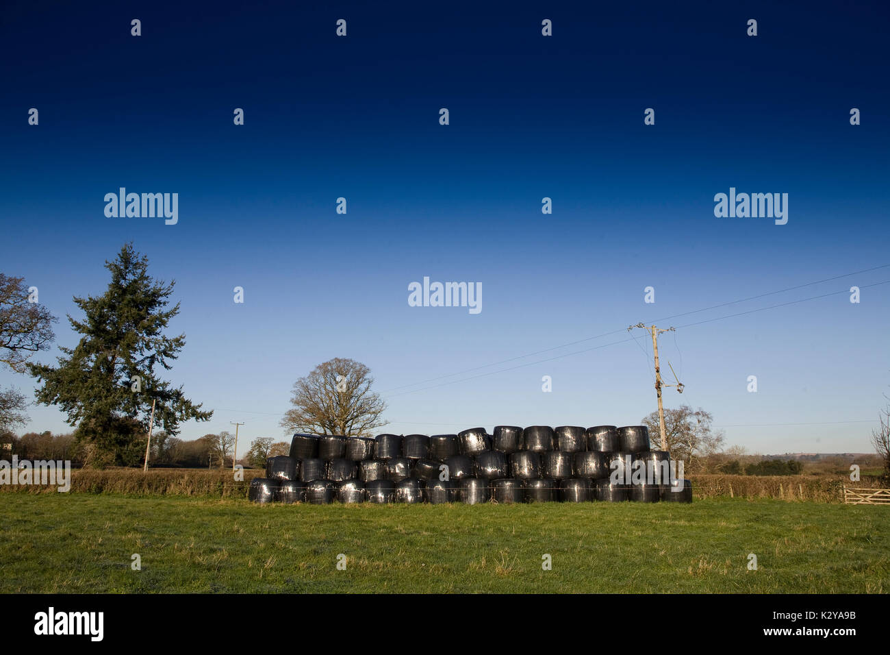 Hay and haylage hi-res stock photography and images - Alamy
