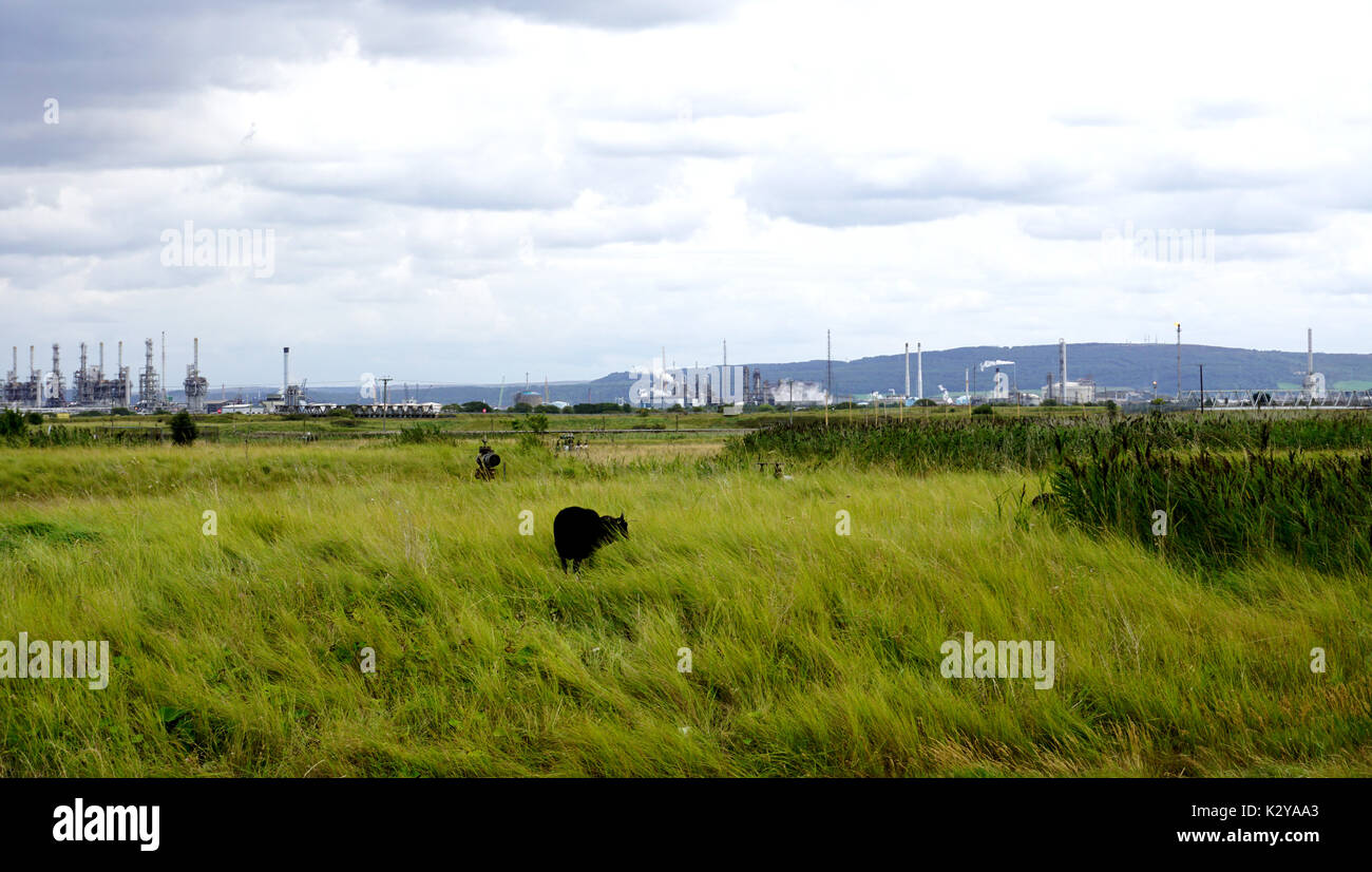 Teesside England Refinery High Resolution Stock Photography and Images ...