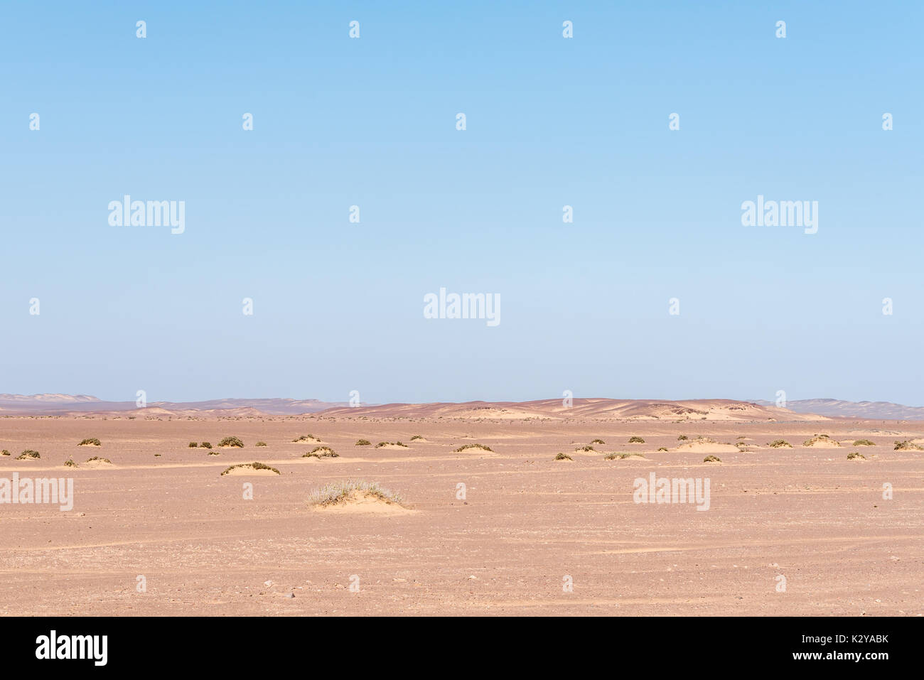 A Namib desert landscape in the Skeleton Coast area of Namibia, with ...