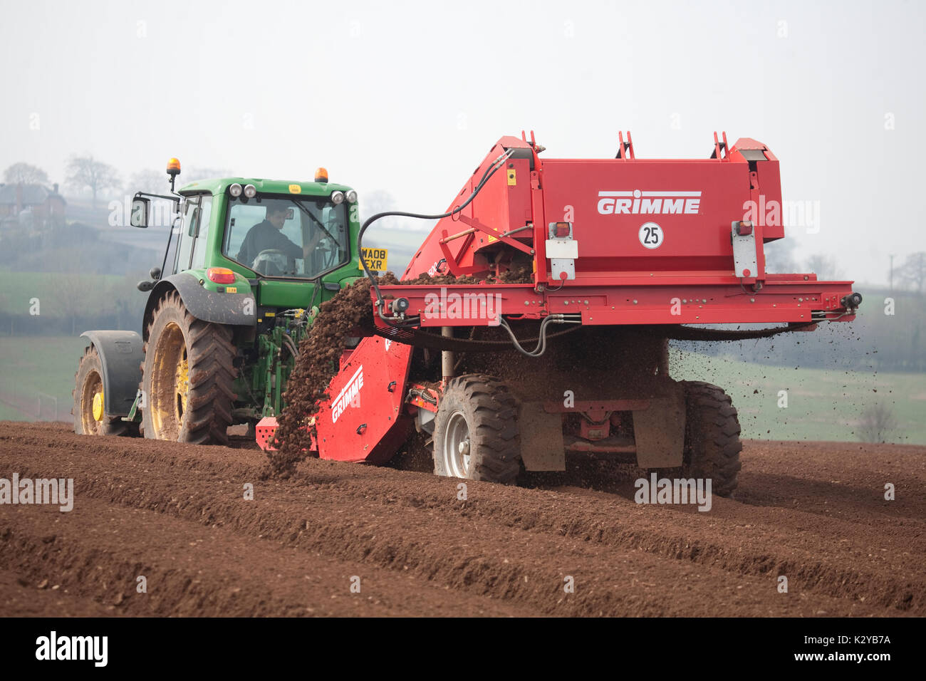 Preparing and planting organic potatoes Stock Photo - Alamy
