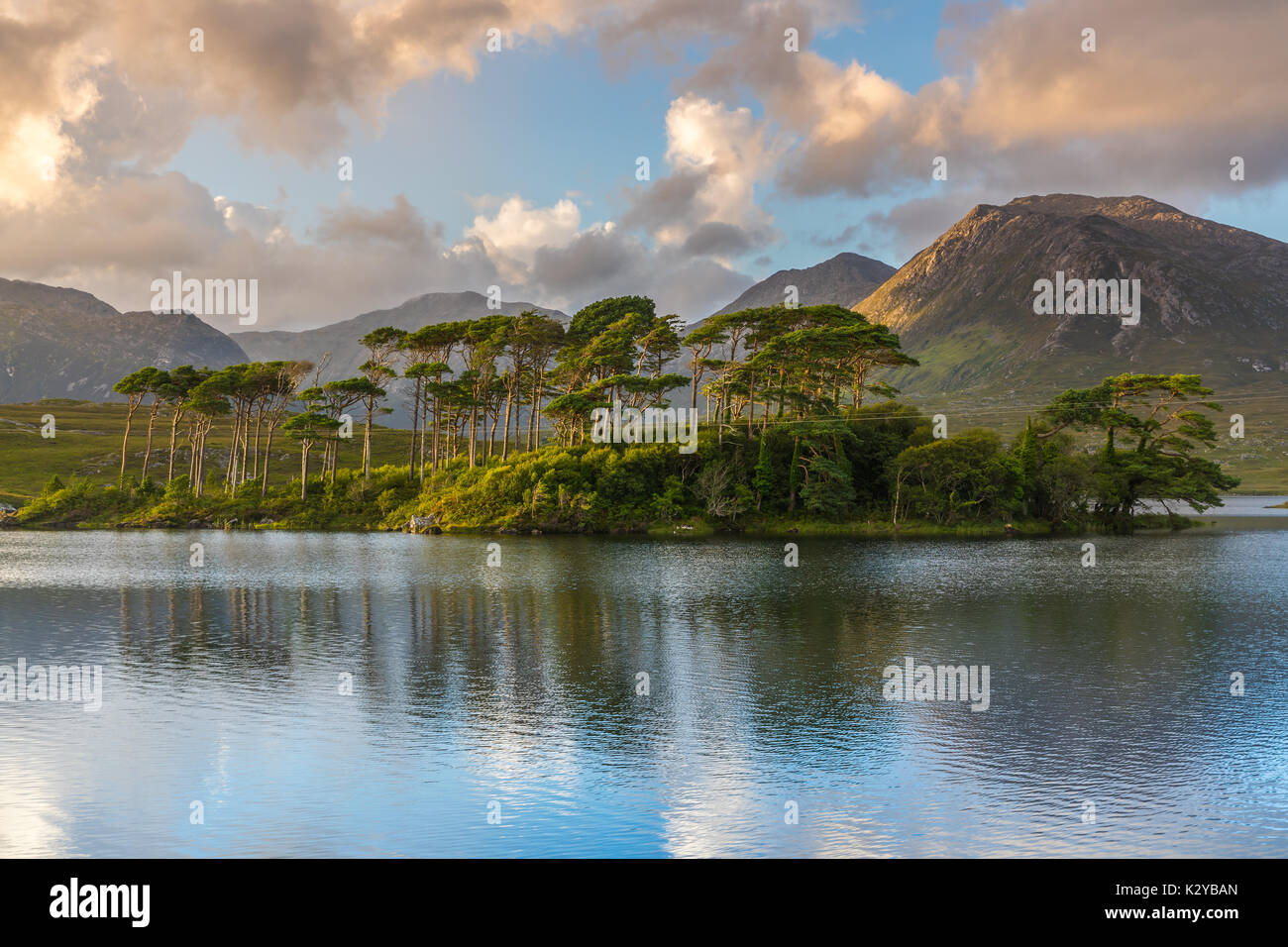 Pines island of derryclare lake hi-res stock photography and images - Alamy