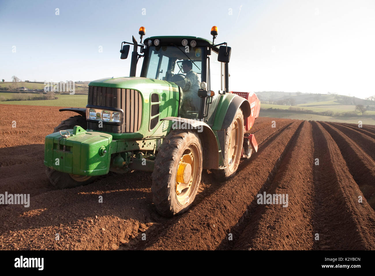 Preparing and planting organic potatoes Stock Photo - Alamy