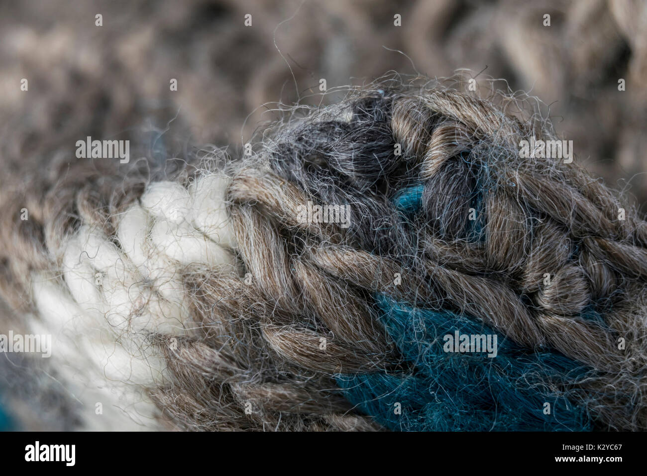 highly detailed needlework wool fabric, close up wool texture ...