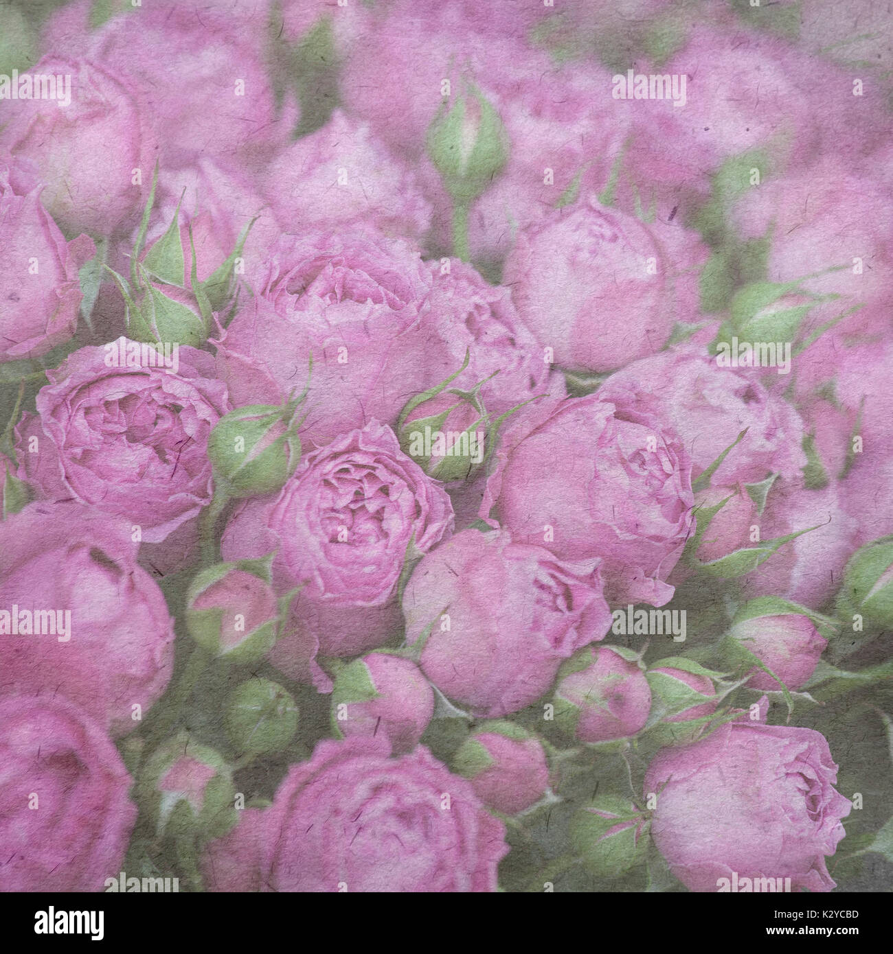 rose paper-craft texture background Stock Photo - Alamy