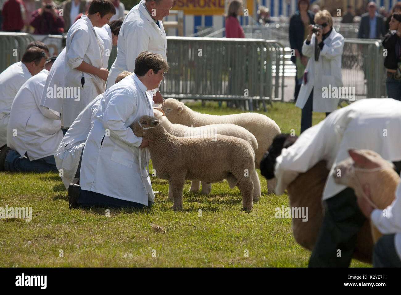 Devon county fair hi-res stock photography and images - Alamy