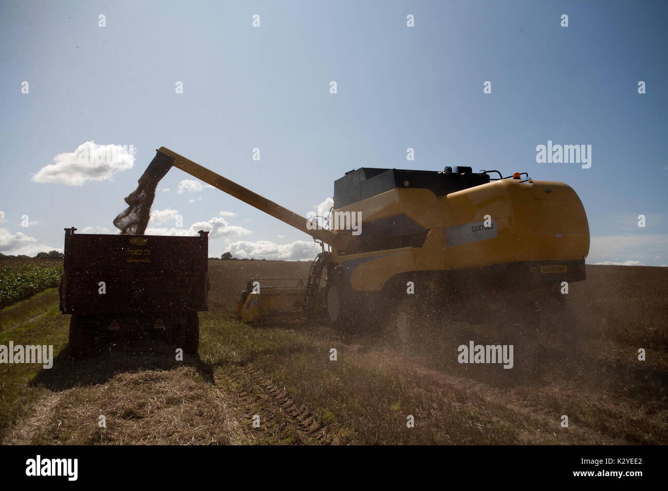Barley combine harvester Stock Photo - Alamy