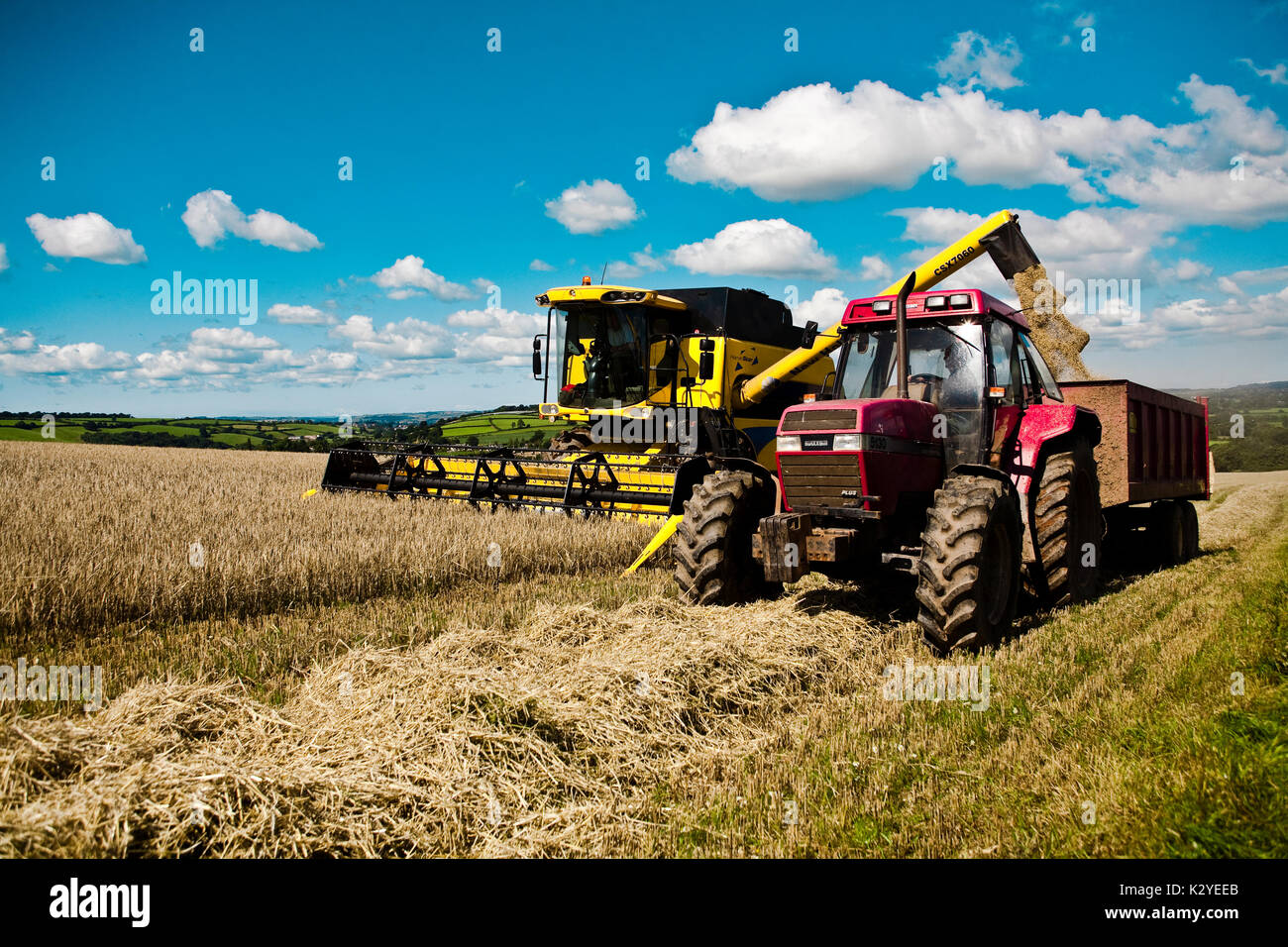 Barley combine harvester Stock Photo - Alamy