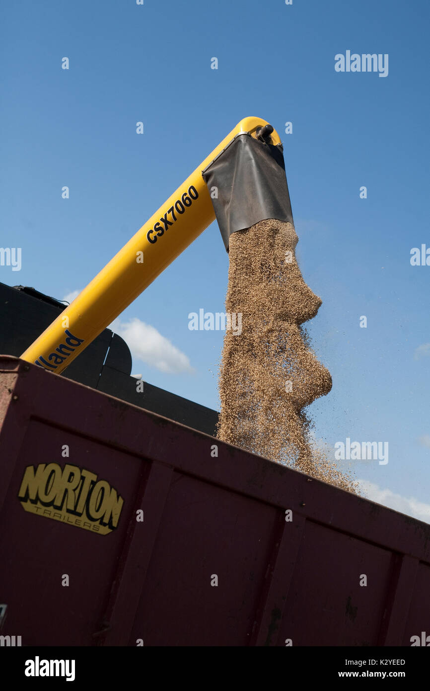 Haymaking and Baling Stock Photo - Alamy