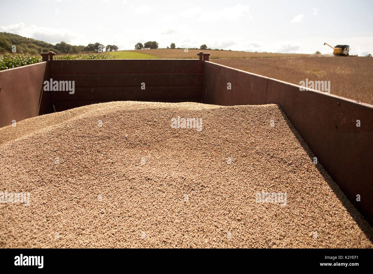 Culm devon hi-res stock photography and images - Alamy