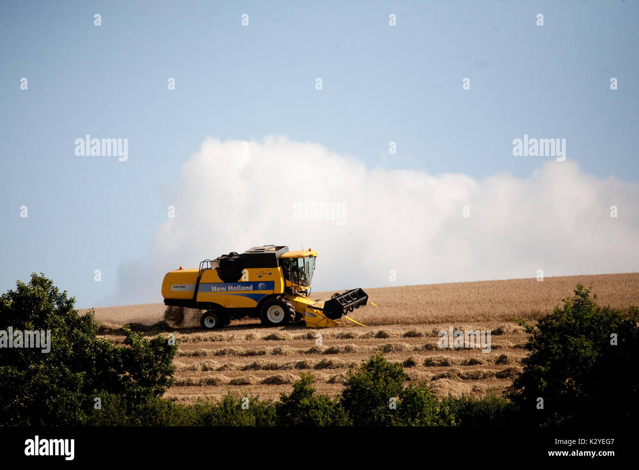 Barley combine harvester side angle wide shot devon Stock Photo - Alamy