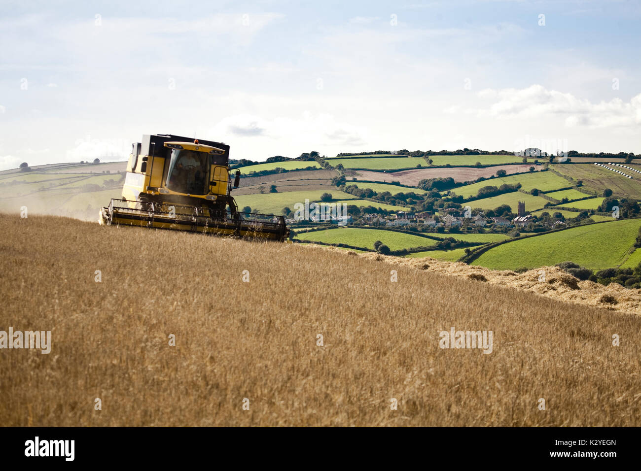 Combine harvester barley field Bradninch Devon in background Stock ...