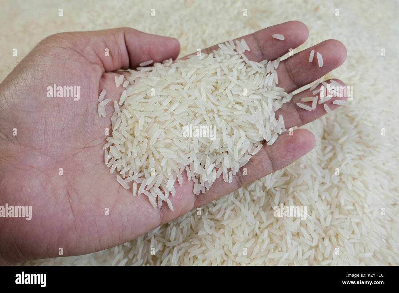 Hands holding rice hi-res stock photography and images - Alamy