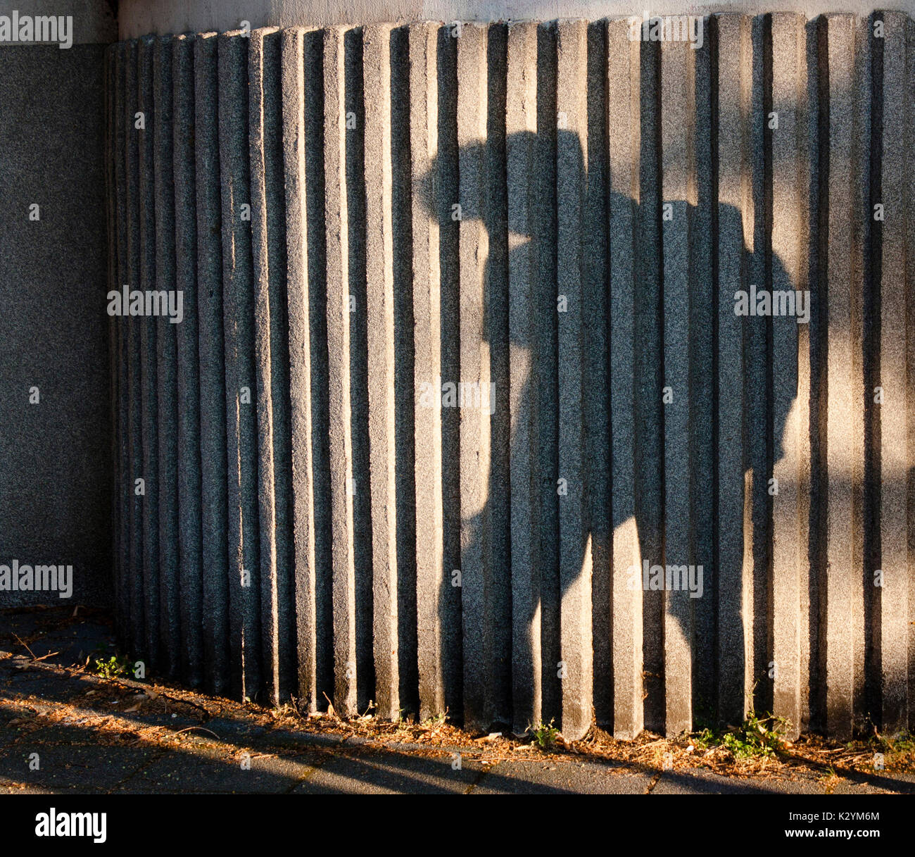 Going back to school depression shadow of a boy with backpack Stock ...