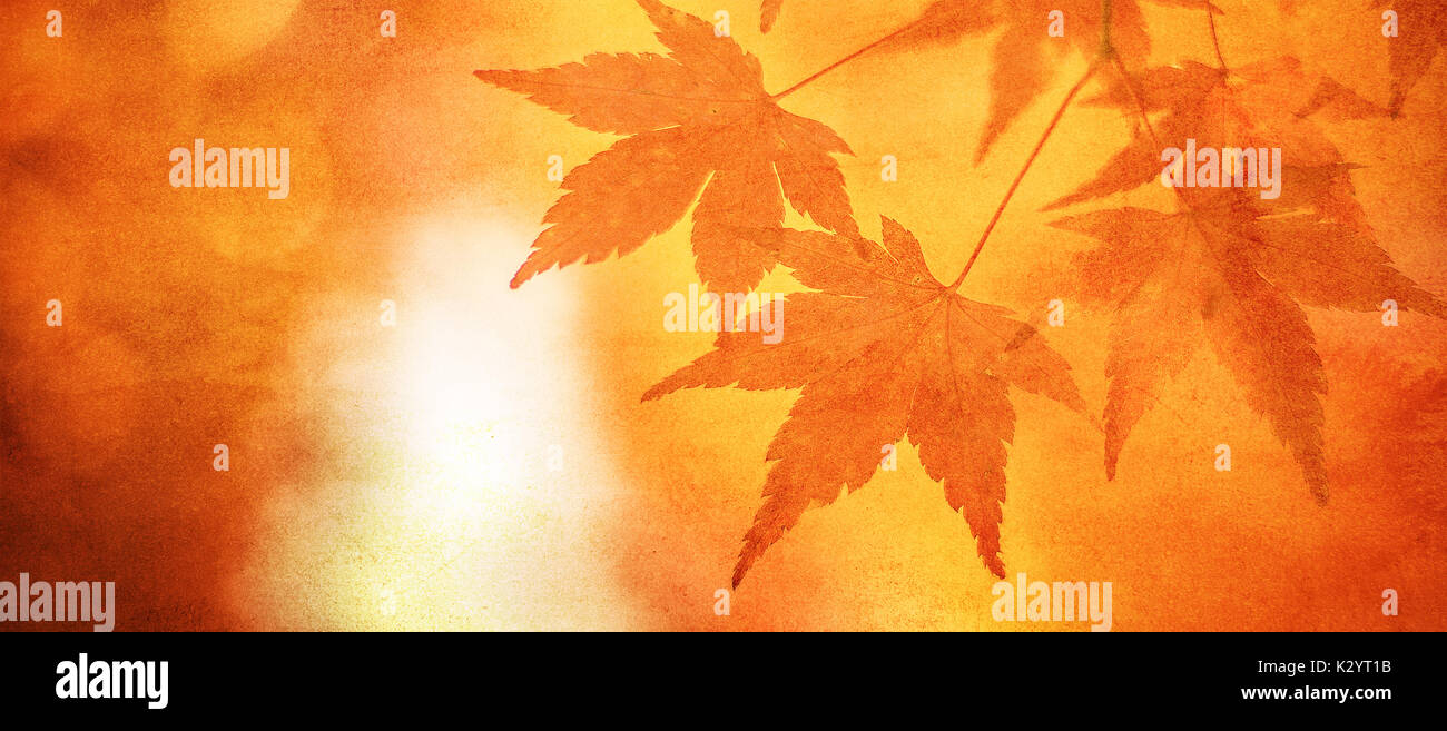 grunge background with autumn leaves Stock Photo - Alamy