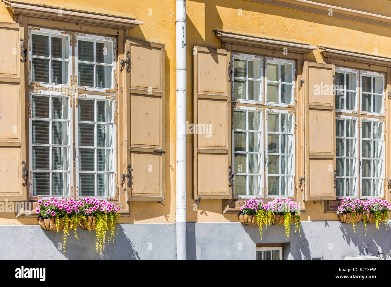 Flower texture glass window hi-res stock photography and images - Alamy