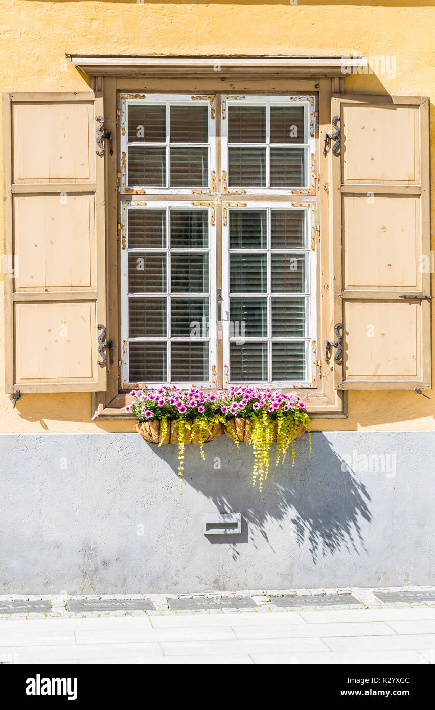 Flower texture glass window hi-res stock photography and images - Alamy