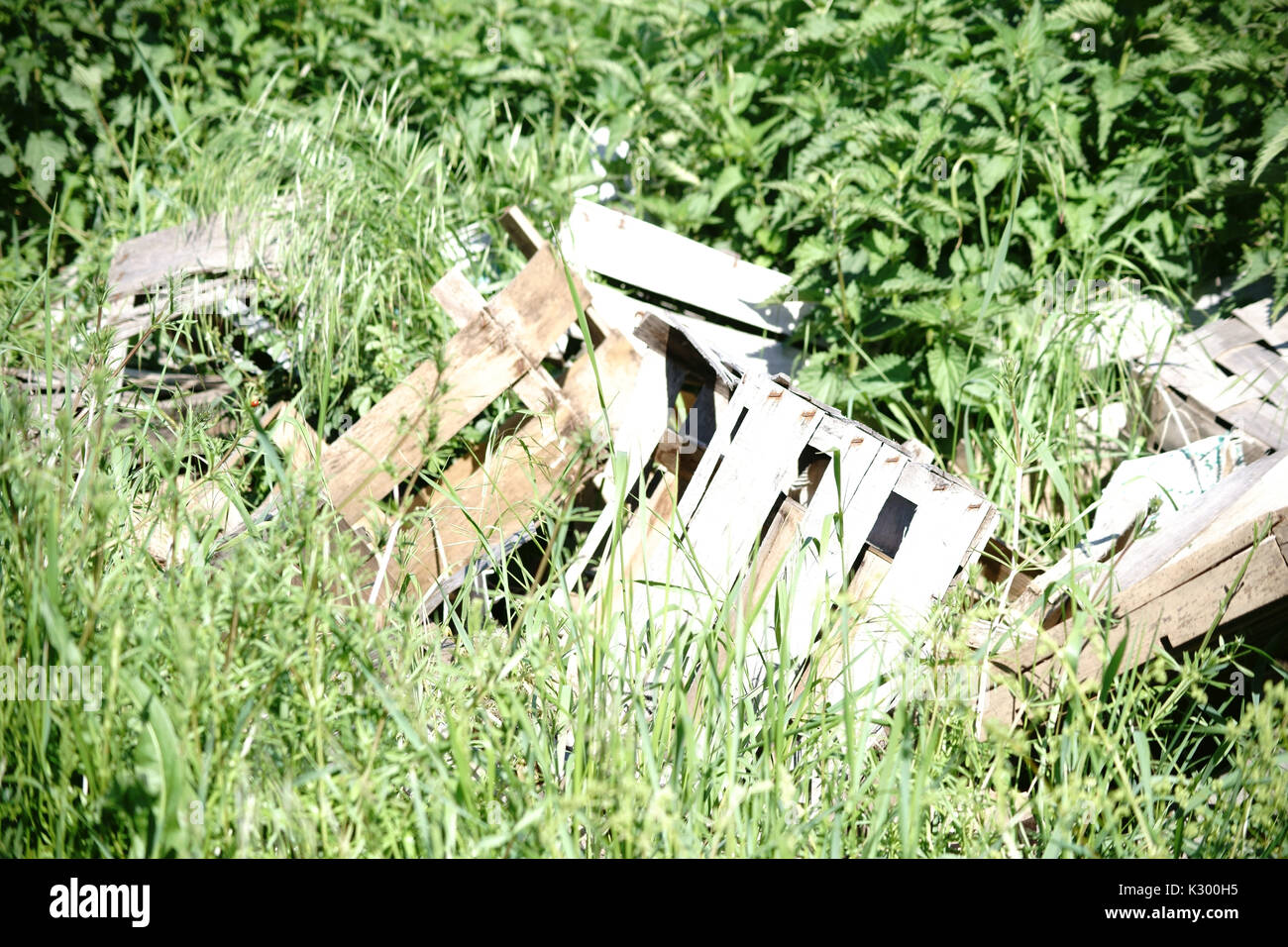 Decayed wooden boxes with wood waste as well as plant waste is ...