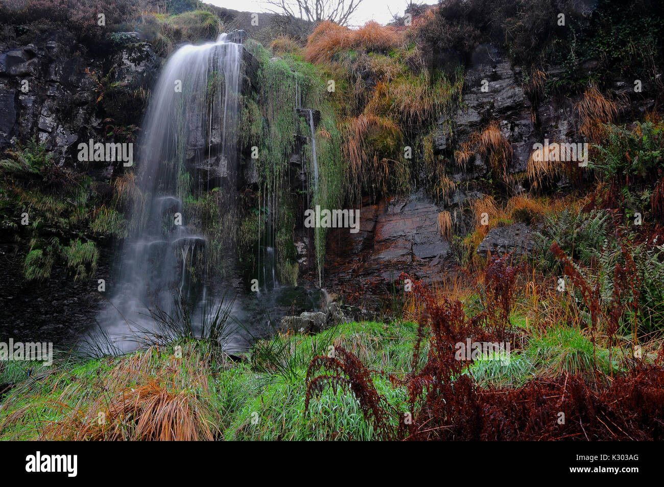 Treherbert High Resolution Stock Photography and Images - Alamy