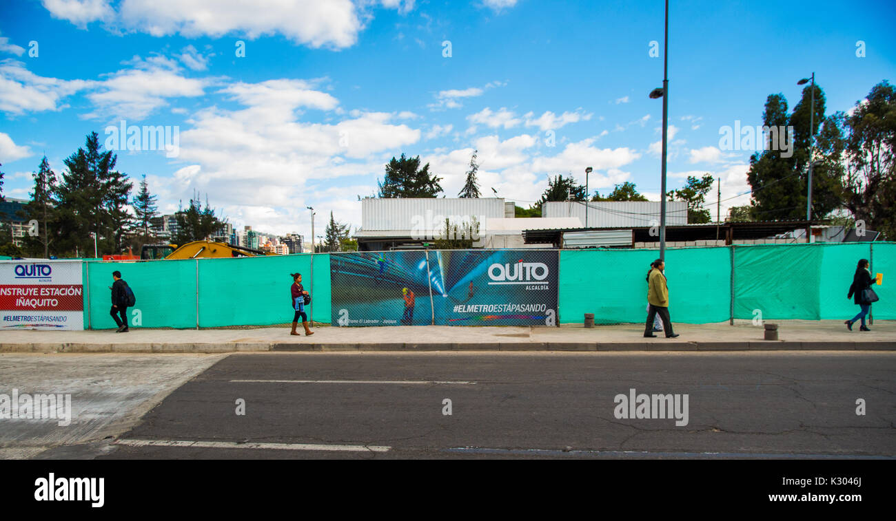 Walking palm ecuador hi-res stock photography and images - Alamy
