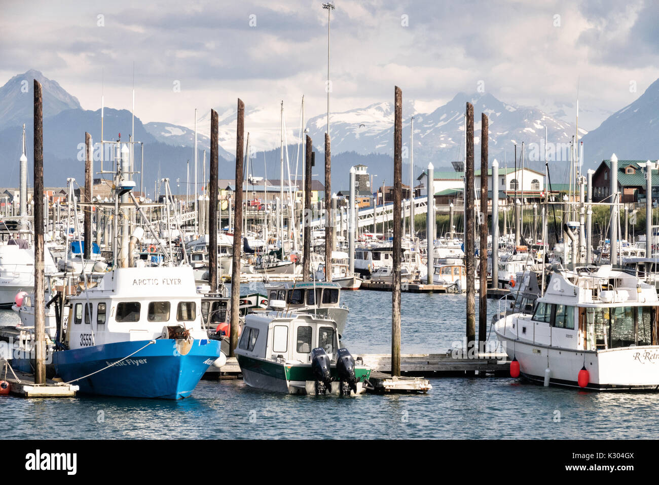 The City of Homer Port & Harbor marina on the Kamishak Bay overlooking ...