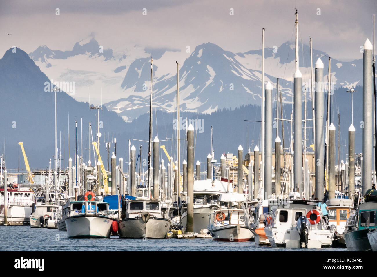 The City of Homer Port & Harbor marina on the Kamishak Bay overlooking ...
