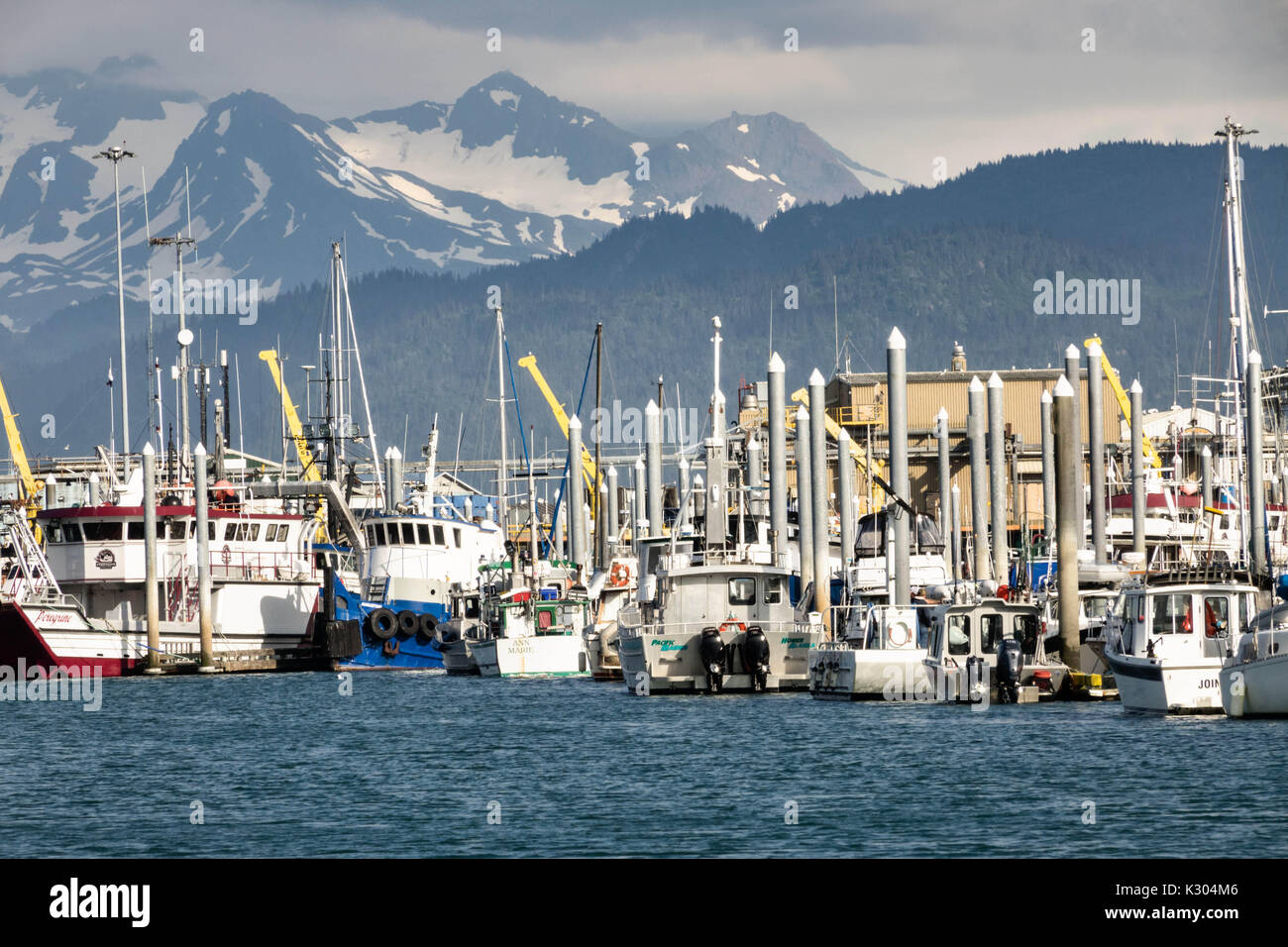 The City of Homer Port & Harbor marina on the Kamishak Bay overlooking ...