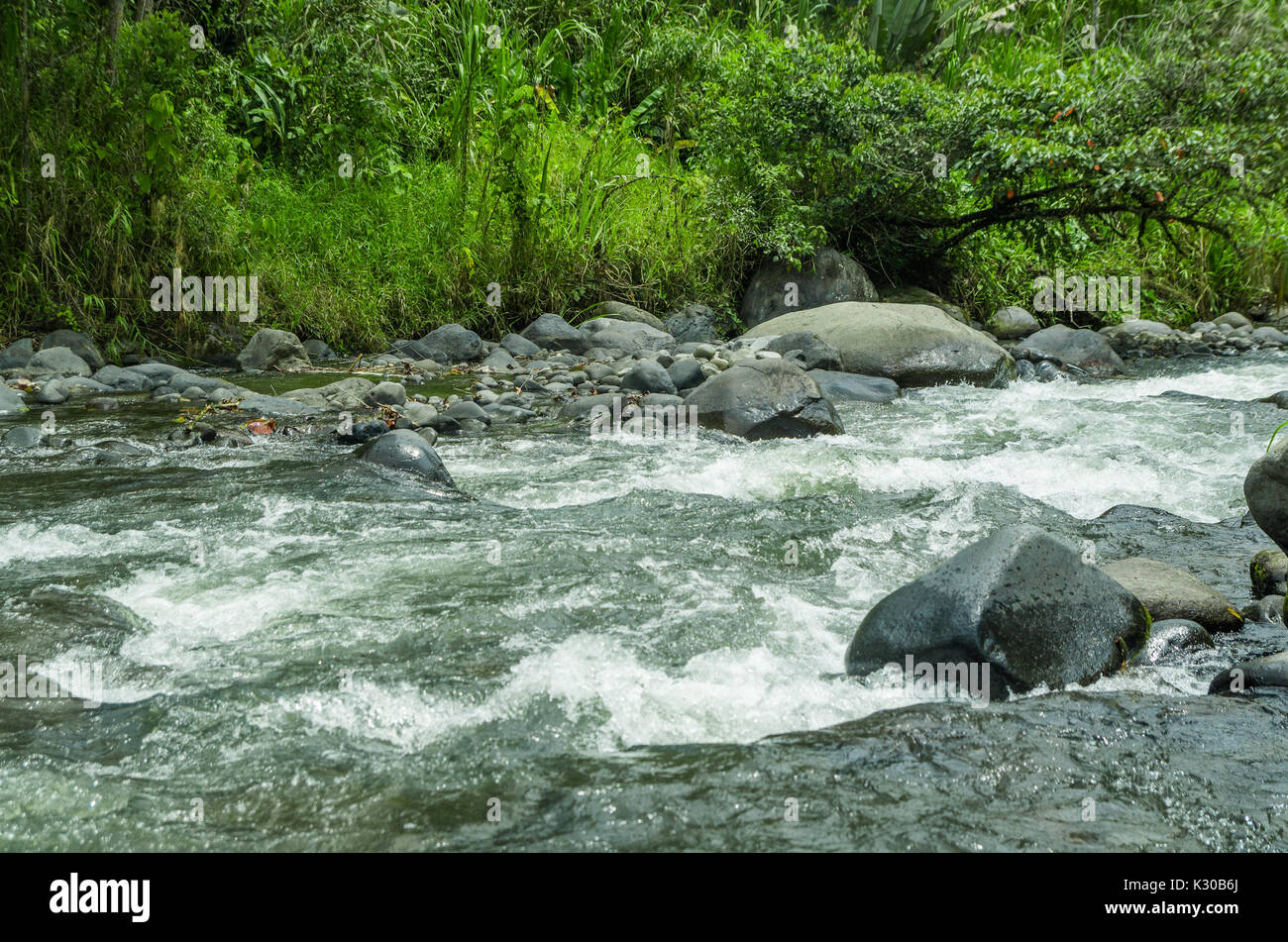 Rio Mindo, western Ecuador, river running through cloudforest at 1,400m ...