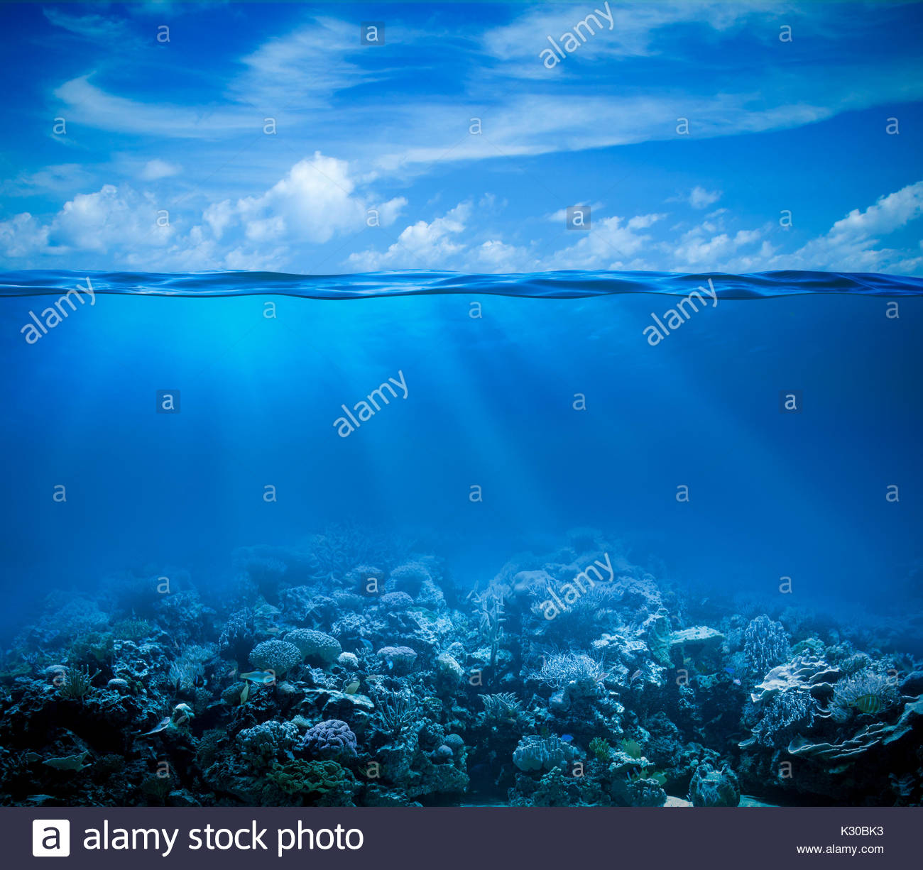Seafloor Stock Photos & Seafloor Stock Images - Alamy