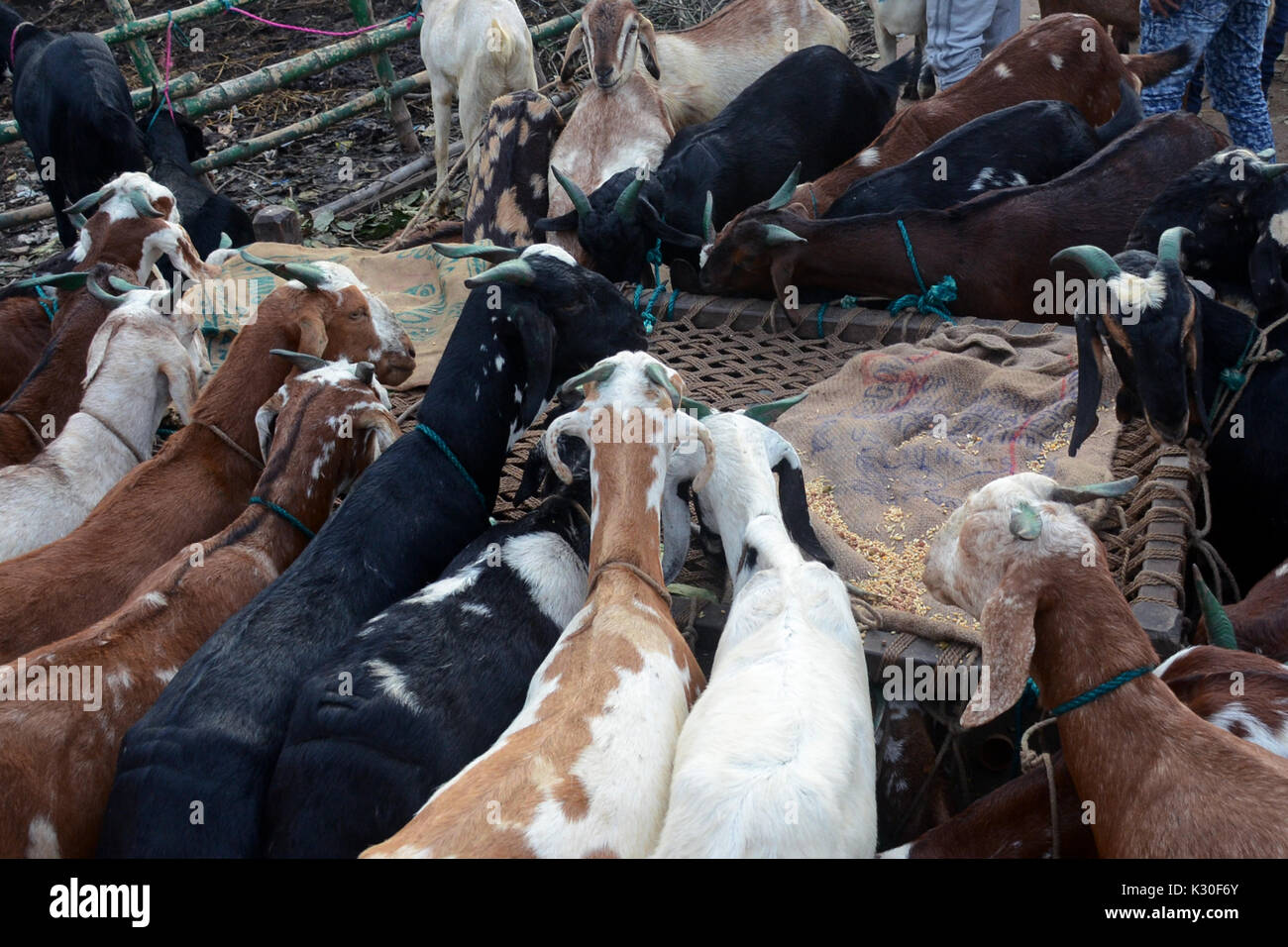 Jibrail angel hi-res stock photography and images - Alamy