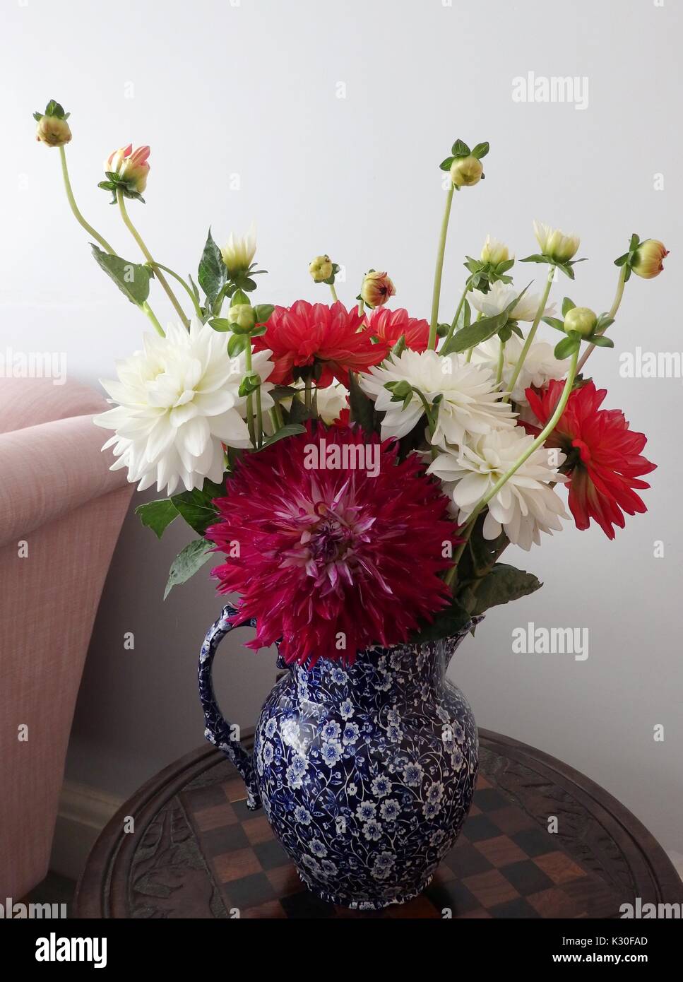 Calico Design Burleigh Milk Jug filled with Colourful Dahlias in a home ...