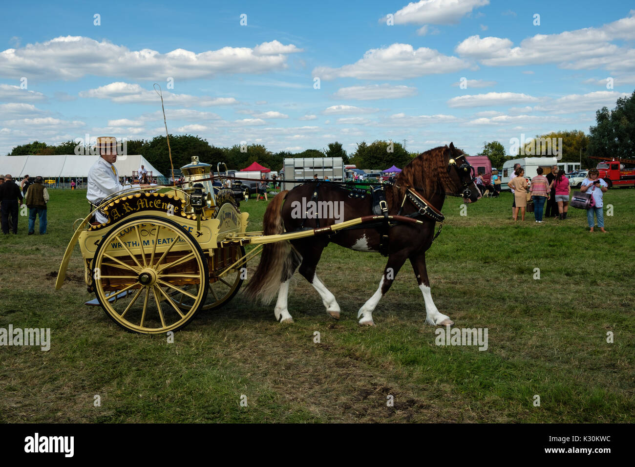 Carriage driving uk hi-res stock photography and images - Alamy