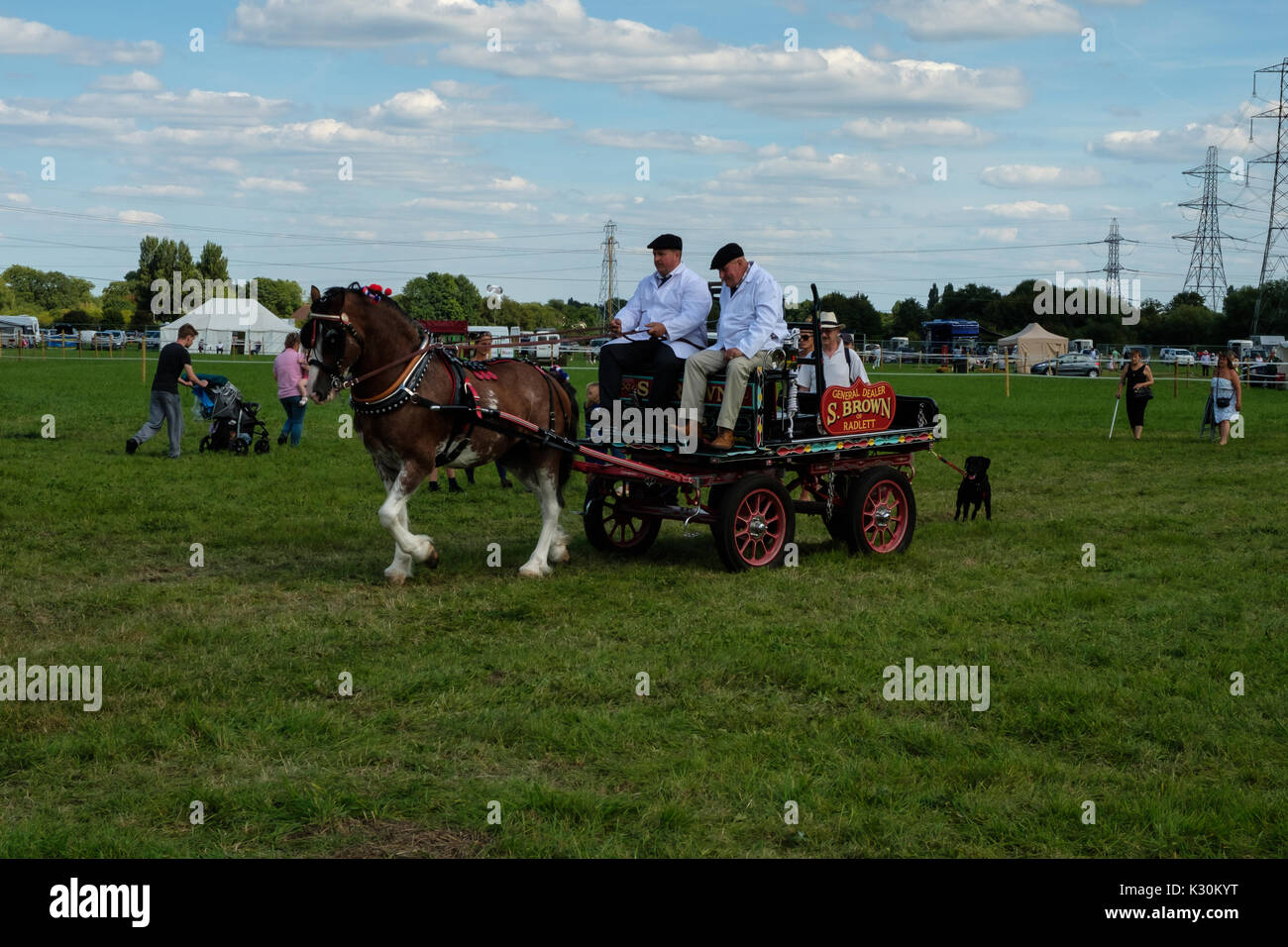 Carriage driving uk hi-res stock photography and images - Alamy
