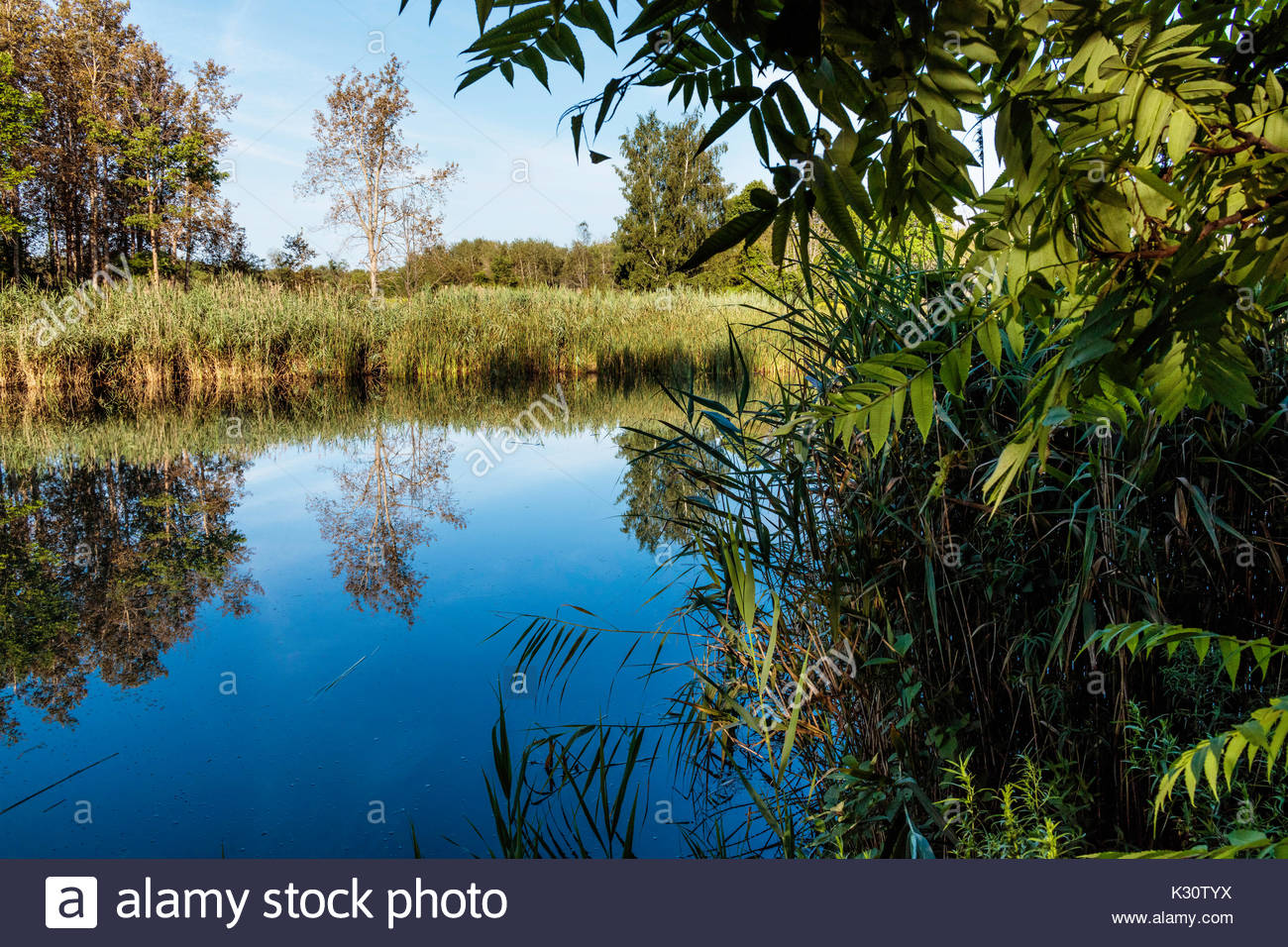 Water Treatment Pond High Resolution Stock Photography and Images - Alamy