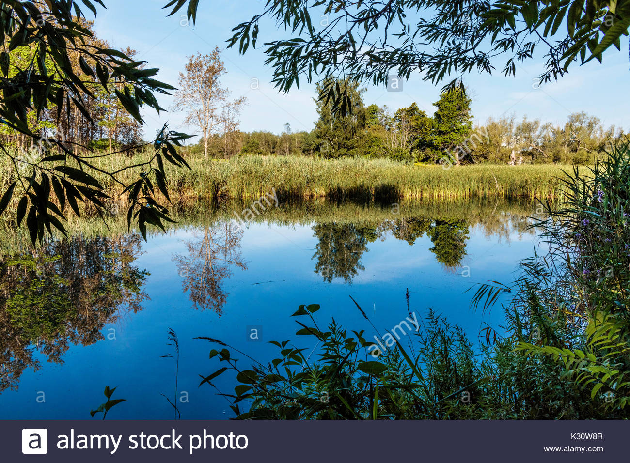 Water Treatment Pond High Resolution Stock Photography and Images - Alamy