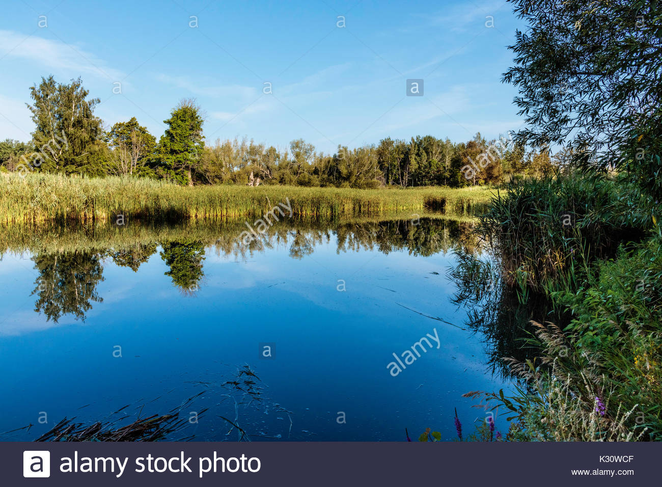Water Treatment Pond High Resolution Stock Photography and Images - Alamy