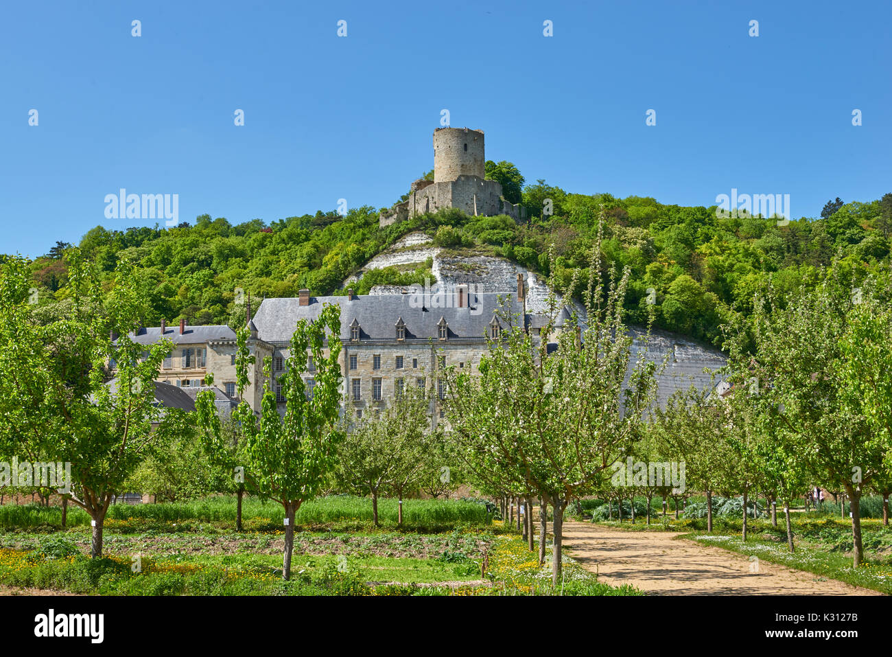 Château de La Roche-Guyon, France Stock Photo - Alamy