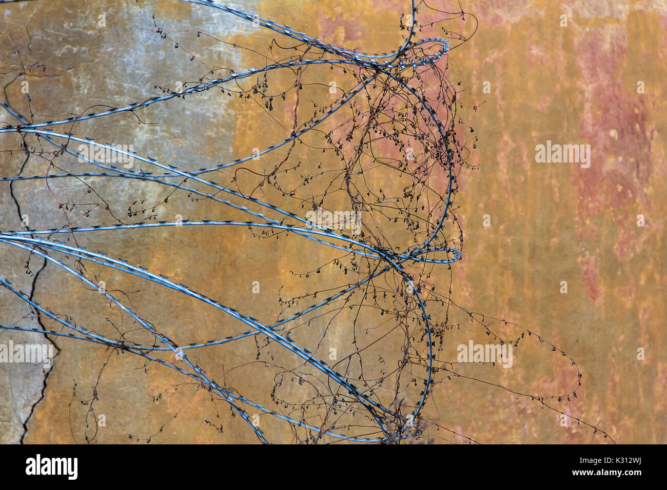 Barbed wire spiral fence hi-res stock photography and images - Alamy