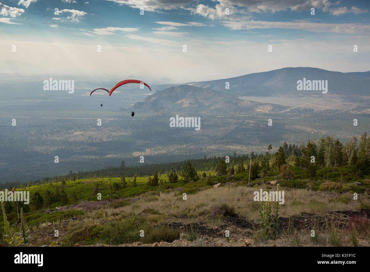 The paragliders are flying near the Whaleback launch under amazing ...