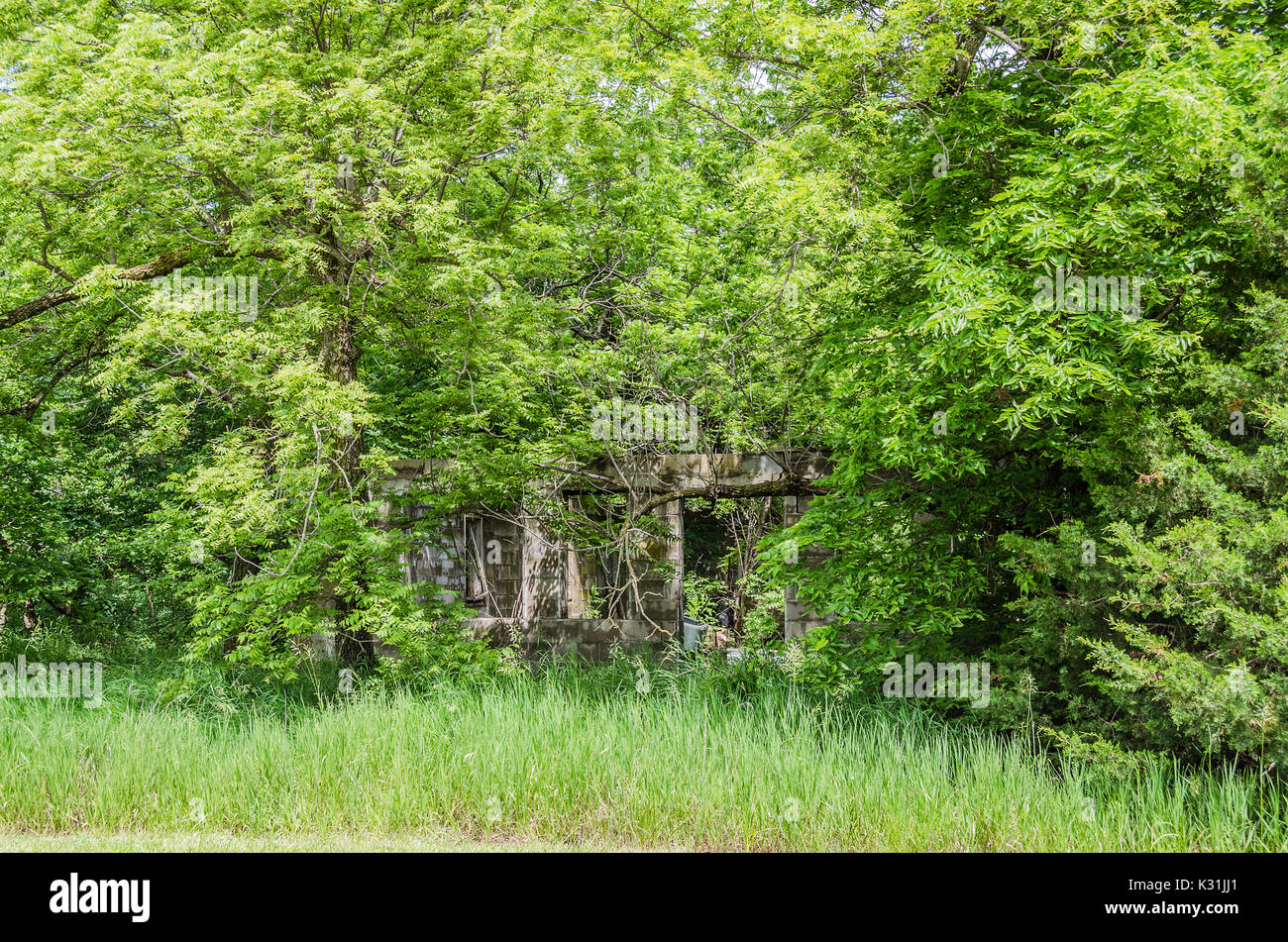 Buried? Overwhelmed? Inundated? Swamped? Use this photo to express ...