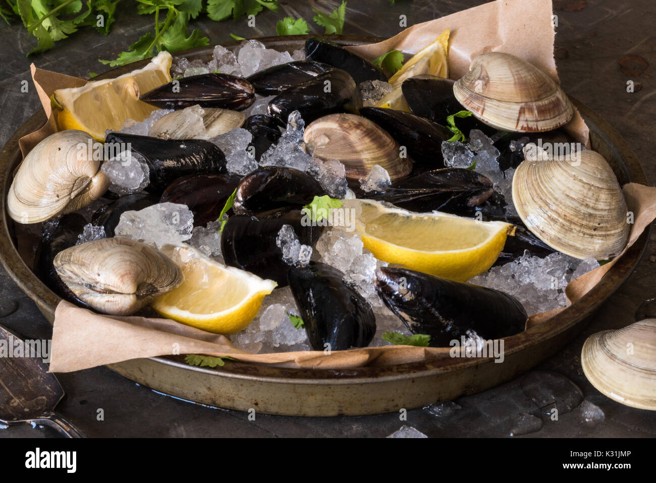 Freshwater clams hi-res stock photography and images - Alamy