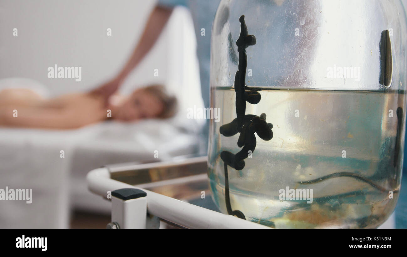 Medical leeches hi-res stock photography and images - Alamy