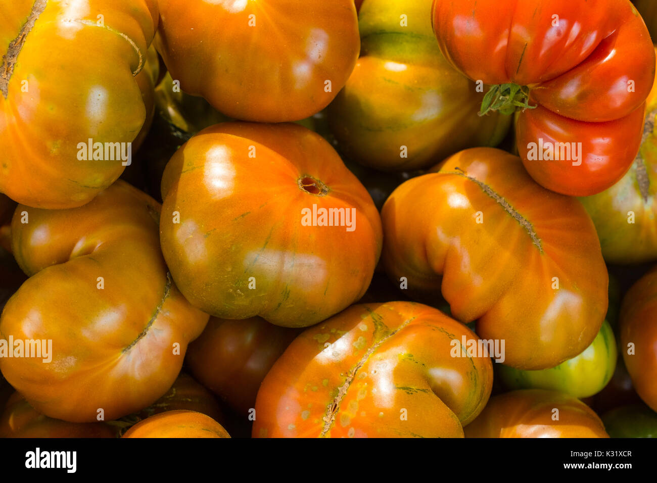 Tomato raf hi-res stock photography and images - Alamy
